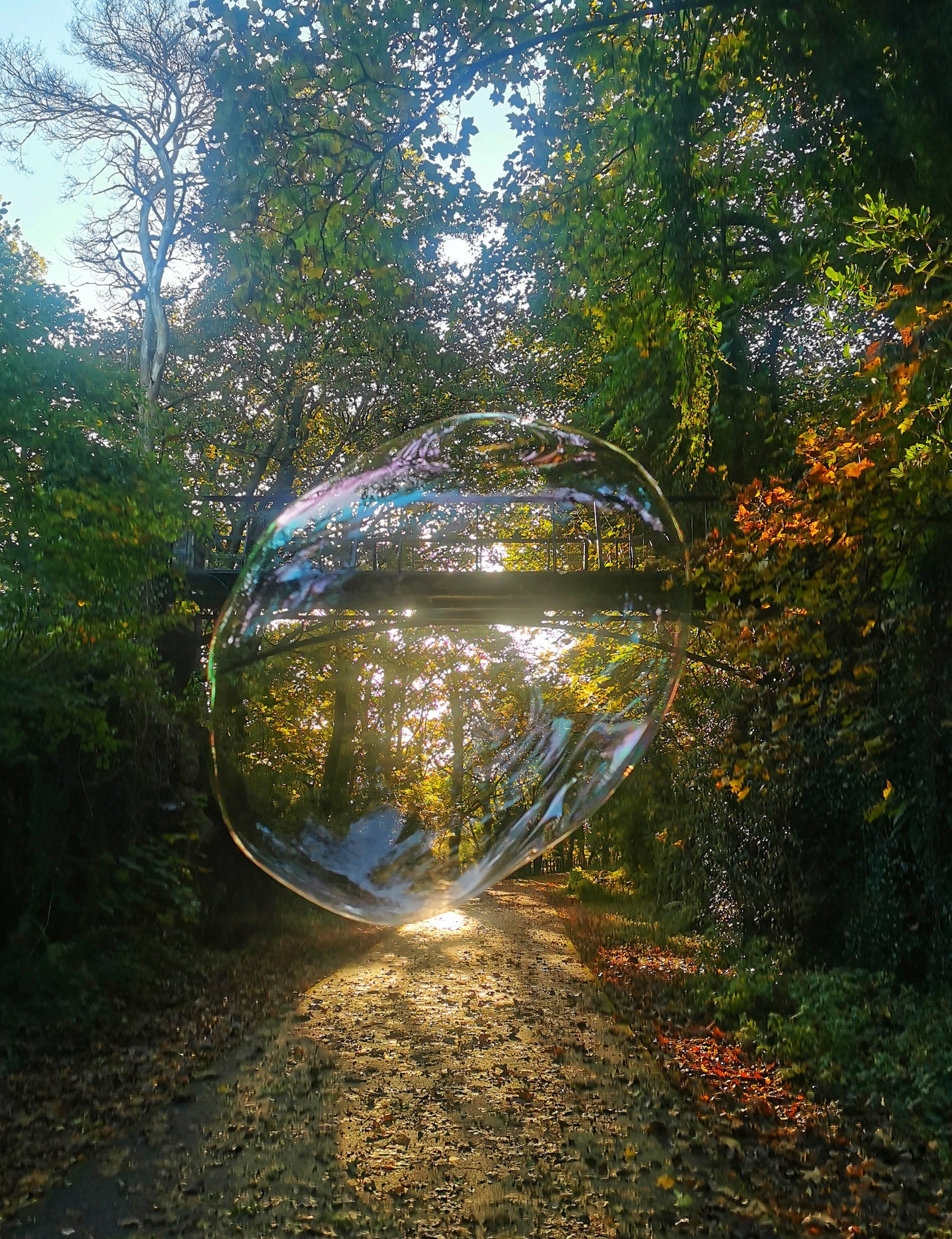 Bubble Therapy - How it helps day to day