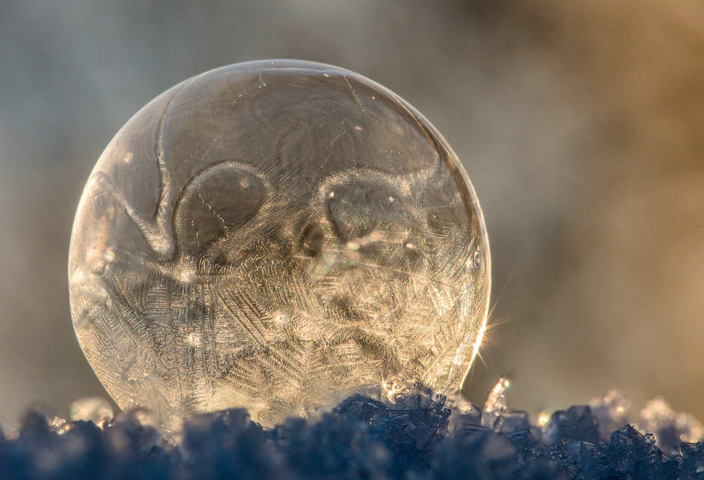 Dr Zigs Frozen Bubble Kit | Make Frozen Bubbles!
